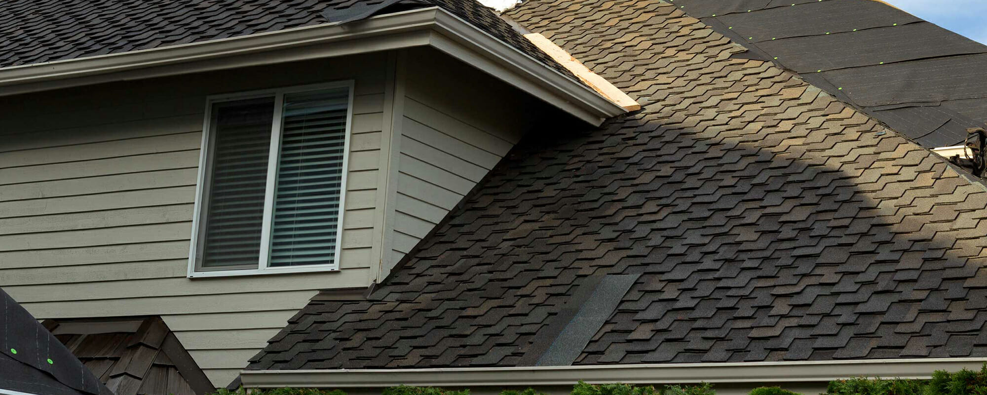 Spotlight on Roofing Shingles - Homestead Roofing Company